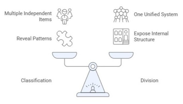 Classification and Division Essay: Differences & Writing